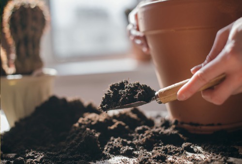 Potgrond voor je planten: weet wat je geeft | Horta Tuin & Dier