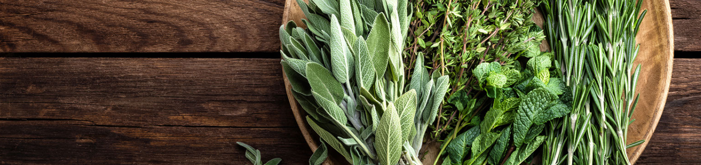 Je eigen kruidentuin: wat heb je nodig? | Horta Tuin & Dier