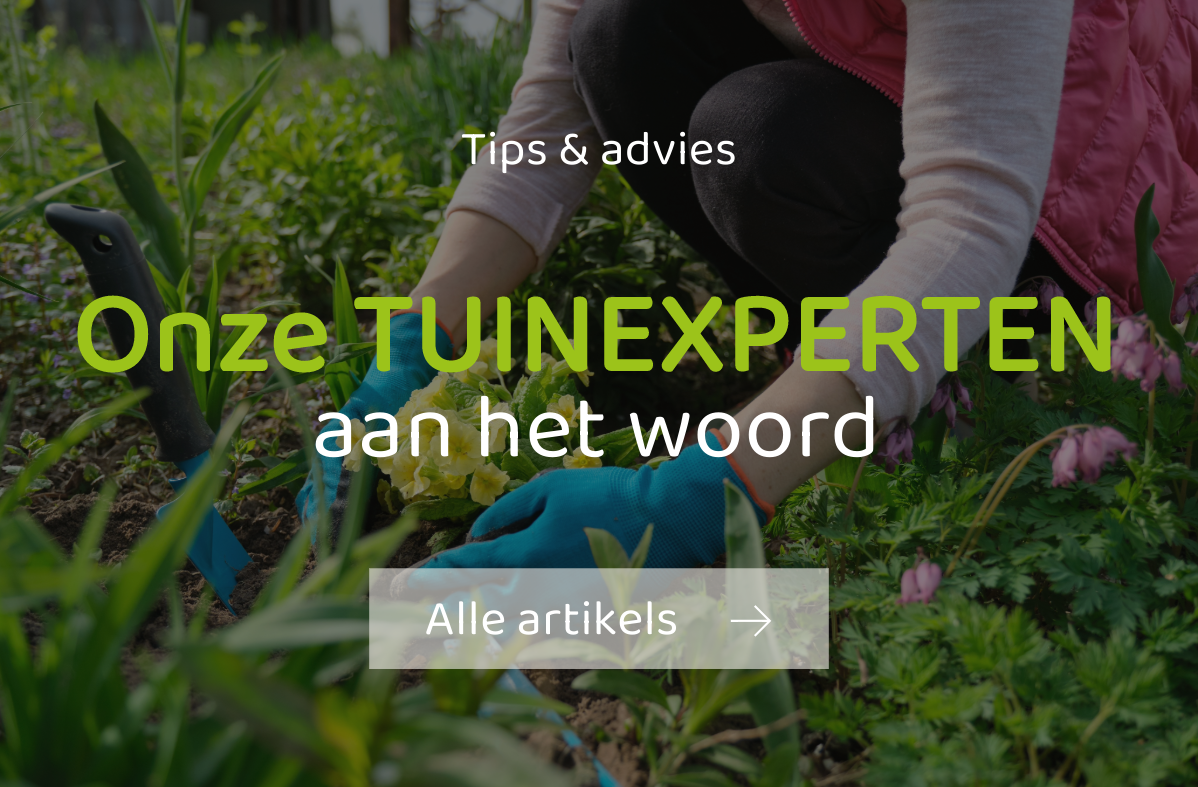 Horta Tuin & Dier