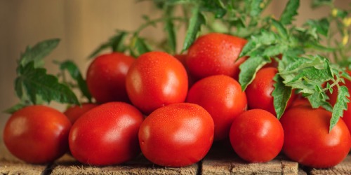 De 5 tomaten-types | Horta Tuin & Dier