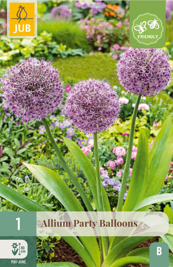 X1 Allium Party Balloons 16/18