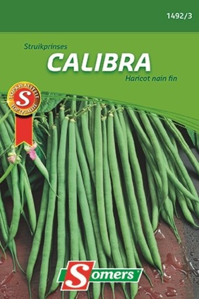 Haricot nain fin Calibra 130g