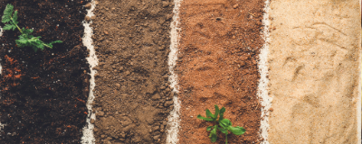 Welk type bodem heb jij? | Horta Tuin & Dier