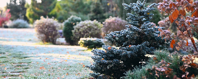 Wat te doen in de tuin: december | Horta Tuin & Dier