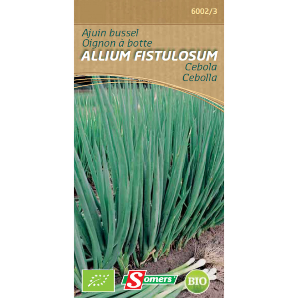 Be-Bio-02 Ajuin Bussel Allium Cebola