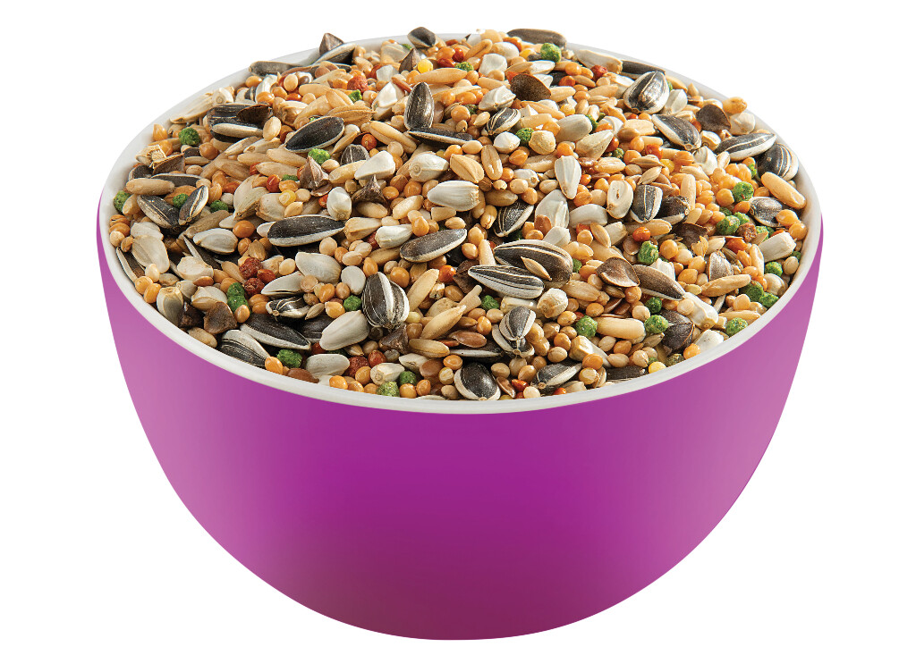 Australian Parakeet Mix 1kg