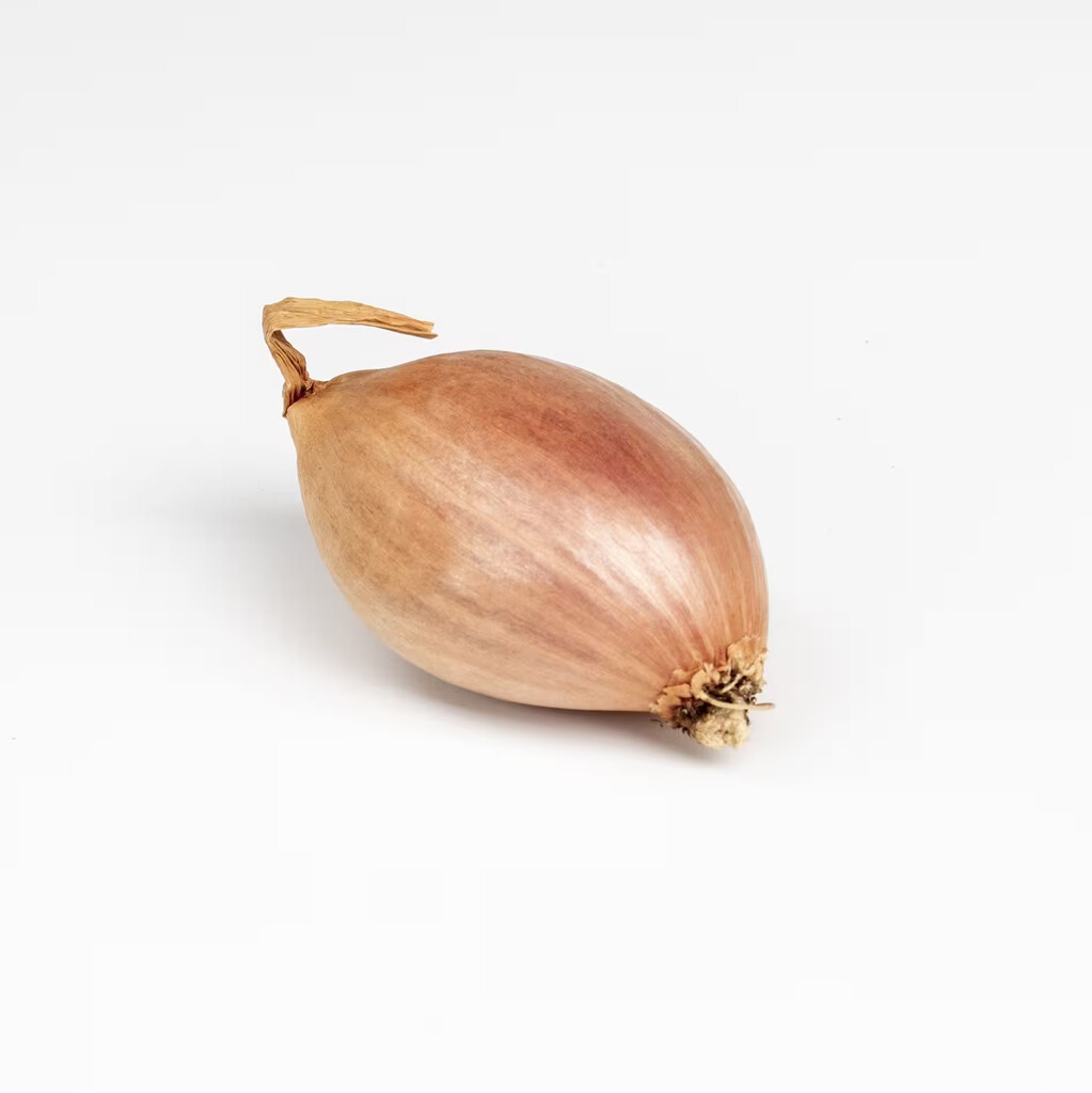 Échalote Jermor 500g