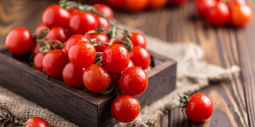 De 5 tomaten-types | Horta Tuin & Dier