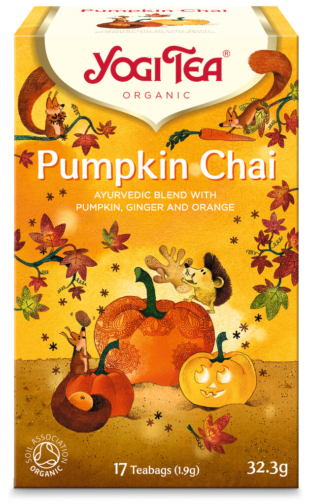 Thee pumpkin chai bio