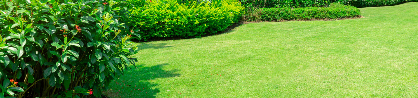 Schema: de juiste meststof voor jouw gazon | Horta Tuin & Dier