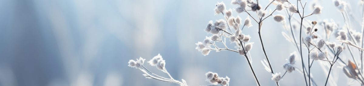 Wat te doen in de tuin: januari | Horta Tuin & Dier