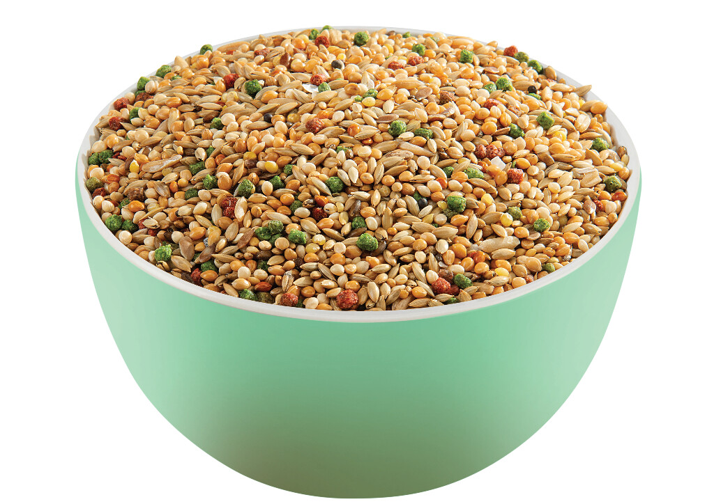 Grasparkieten 2,5kg