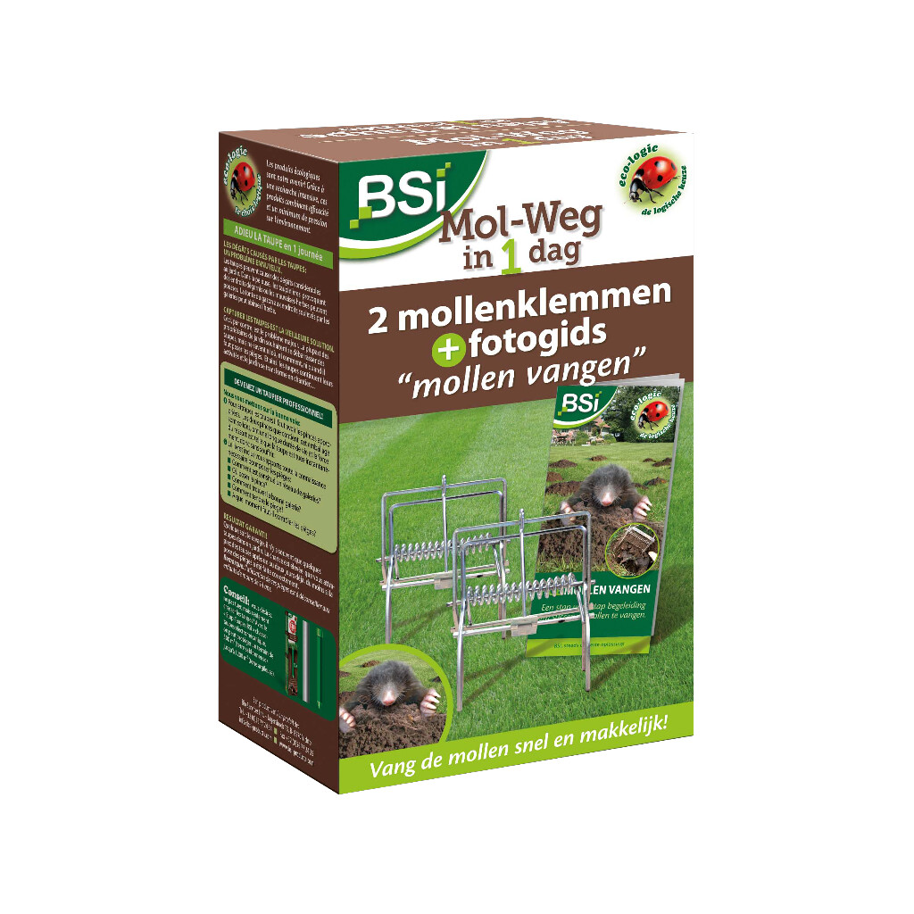 Mol-weg in 1 dag