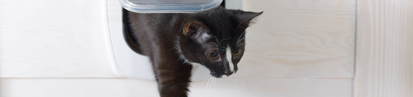 Een kattenluik: veel keuze, nog meer voordelen | Horta Tuin&Dier