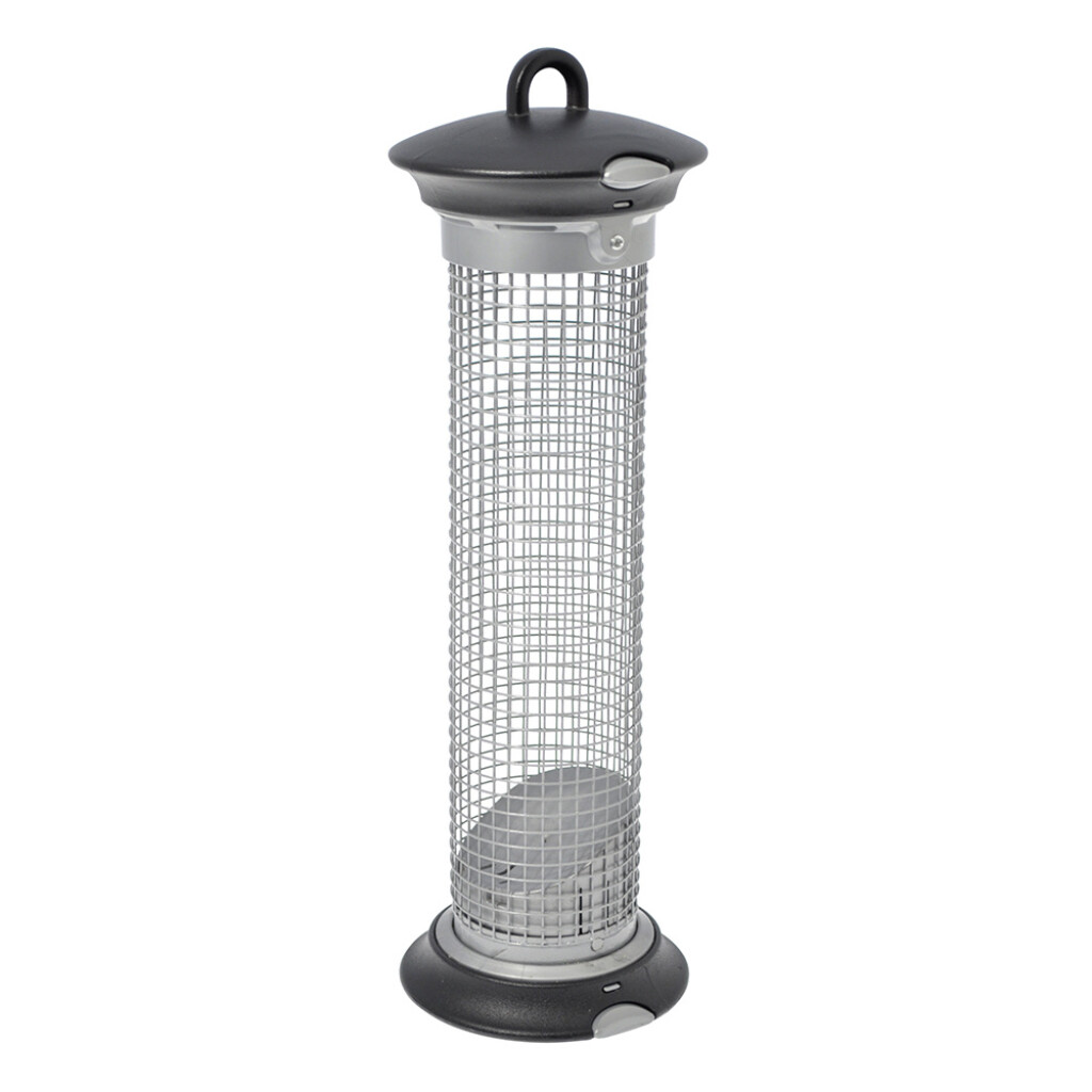 Pindasilo ‘Apollo’