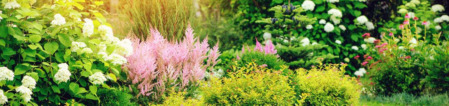 Aménager une plate-bande en 3 étapes | Horta Jardin&Animaux