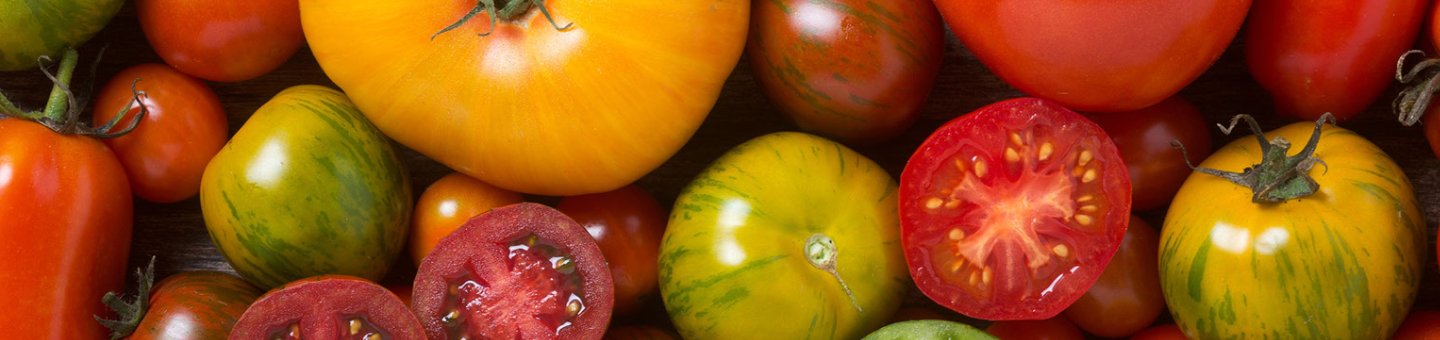 De 5 tomaten-types | Horta Tuin & Dier