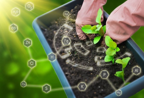 Moestuin aanleggen in 7 stappen | Horta Tuin & Dier